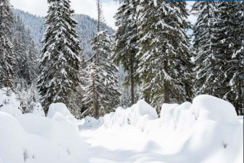 Računovodstvene djelatnosti | Porezno zastupanje | Fircon Mostar